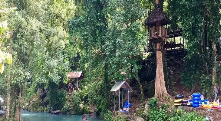 The Enchantment of Sesaot Forest on Lombok Island