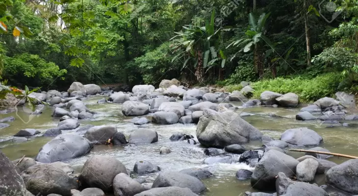 The Enchantment of Sesaot Forest on Lombok Island