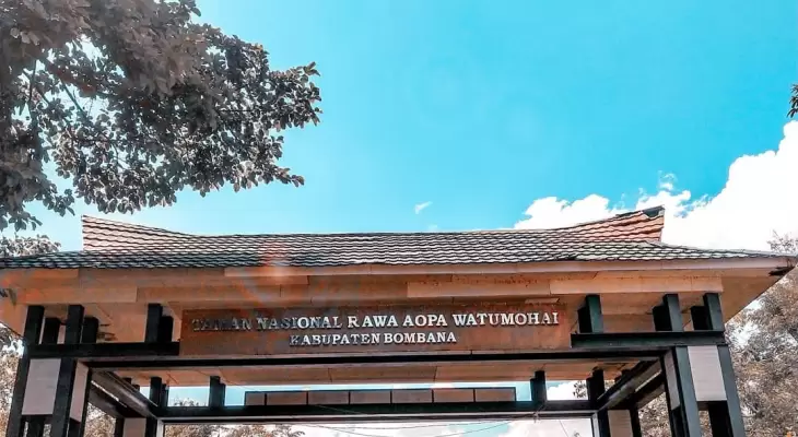 Rawa Aopa Watumohai National Park, a Paradise of Flora and Fauna in ...