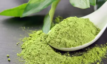 Waiter vs. Waitress: Is Gender the Only Difference?